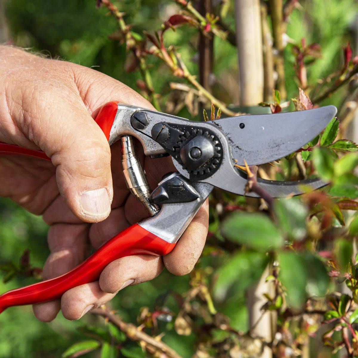 Felco 9 Ergonomic Secateur - Large Left Hand – Arbormaster