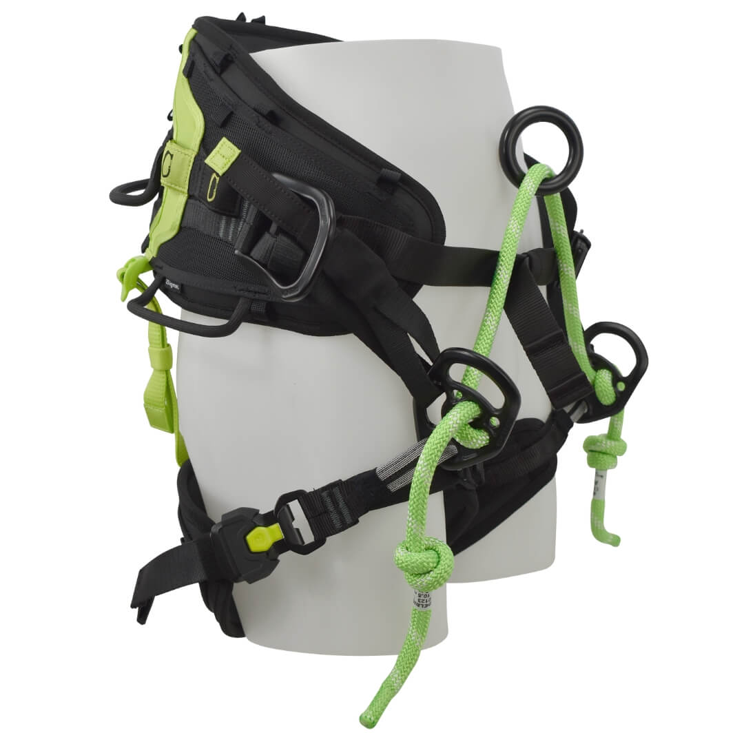 Edelrid TreeRex TripleLock Arborist Harness & Accessories – Arbormaster