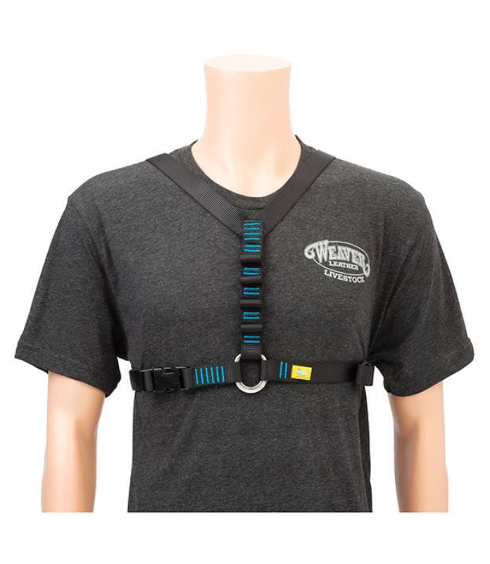 Harnesses – Arbormaster