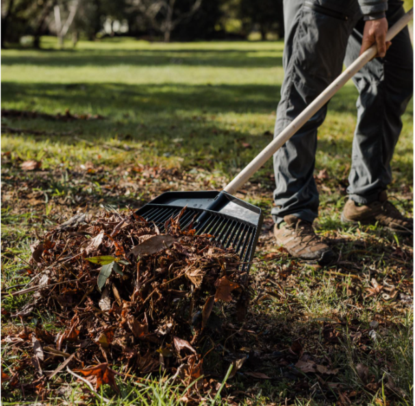 Arbor Rake - Industrial Black Rega Leaf & Fork Rake - 1500mm – Arbormaster