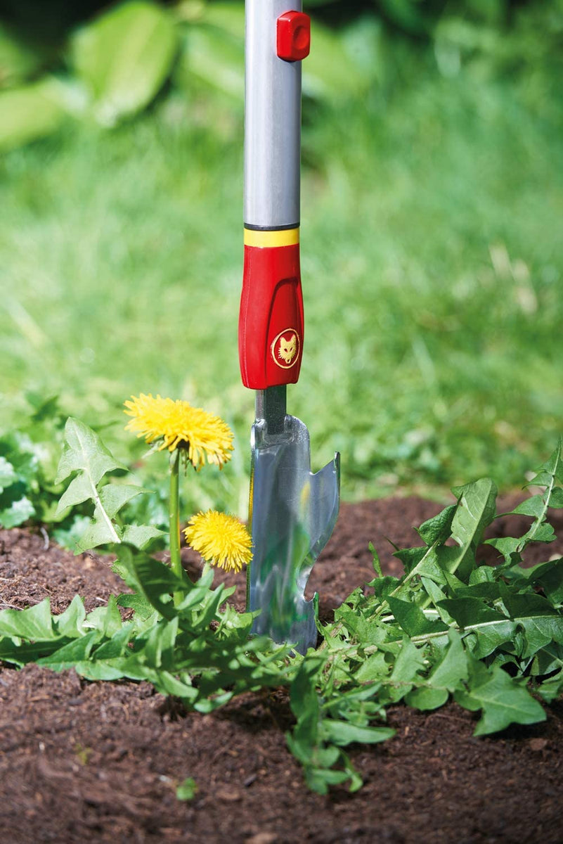 WOLF-Garten Multi: Thistle Extractor IW-M – Arbormaster